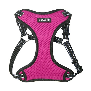 The 10 Best Cat Harnesses for No Escape and Walking - Cat Loves Best