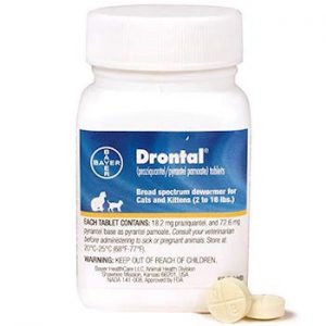 The 10 Best Cat Dewormer Treatments of 2022 - Cat Loves Best