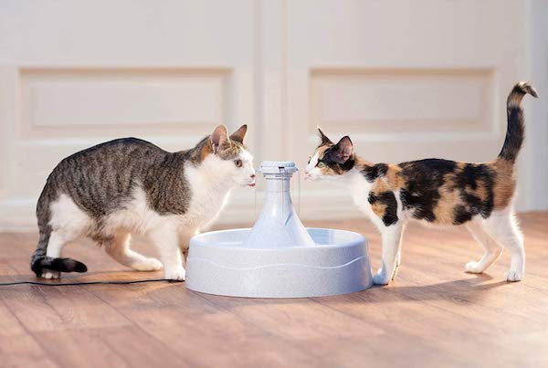 The 10 Best Cat Water Fountains in 2021 [46+ Tested] - Cat Loves Best