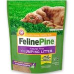 Feline Pine Cat Litter Review - Is It Effective?