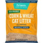 The 10 Best Corn Cat Litters of 2023 (Unbiased Reviews)