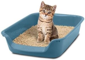 How Much Is Cat Litter Monthly?