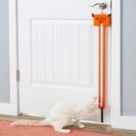 The 5 Best Motion Activated Cat Toys of 2023