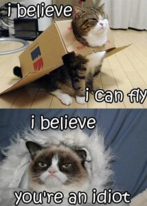 Kitten Memes, That Will Make You ROFL