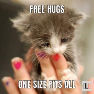 Kitten Memes, That Will Make You ROFL