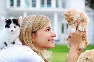 25 Fun Things to Do With Your Cat