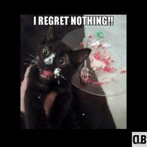 45 Black Cat Memes, To Possess Your Soul