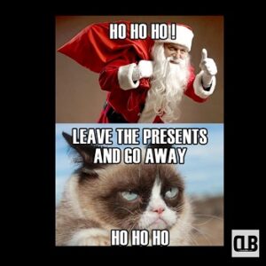 55 Christmas Cat Memes To Add Joy