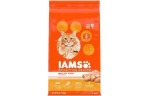 Iams Cat Food Review: Everything You Need to Know