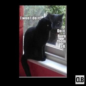 45 Black Cat Memes, To Possess Your Soul