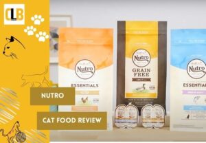 Nutro Cat Food Review: Everything You Need to Know