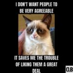 51 Grumpy Cat Memes of 2023