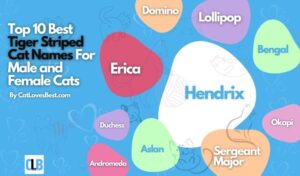 600+ Tiger Striped Cat Names for Both Male & Female Kitties