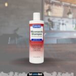 The 5 Best Ringworm Shampoo for Cats in 2023