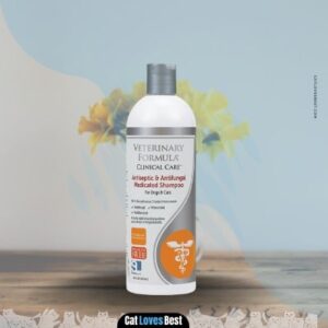 The 5 Best Ringworm Shampoo for Cats in 2023