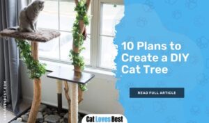 10 DIY Cat Tree Plans to Make a Cat Tree (Free)