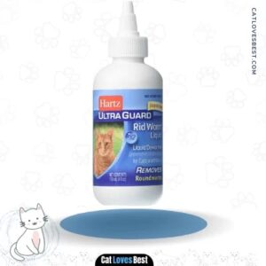 The 10 Best Cat Dewormer Without Vet Prescription | Over-the-Counter