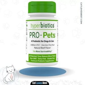 The 10 Best Probiotics Supplement for Cats - Reviews & Top Picks