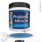 The 10 Best Probiotics Supplement for Cats - Reviews & Top Picks