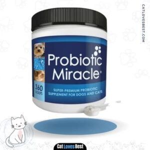 The 10 Best Probiotics Supplement for Cats - Reviews & Top Picks