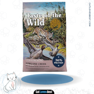 Taste of the Wild Cat Food Review 2023: Everything You Need to Know