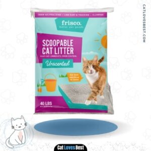 The 9 Best Non-Tracking Cat Litters of 2023 - CatLovesBest