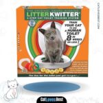 The 5 Best Cat Toilet Training Kits to Potty Train Your Kitty