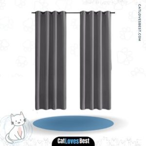 The 7 Best Cat Proof Curtains 2023 – Reviews & Top Picks