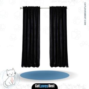 The 7 Best Cat Proof Curtains 2023 – Reviews & Top Picks