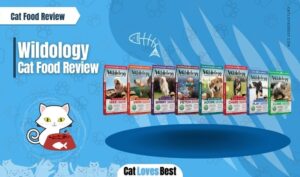 Wildology Cat Food Review 2026