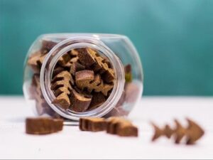 Homemade Cat Biscuit Recipe — Make Using Simple Ingredients